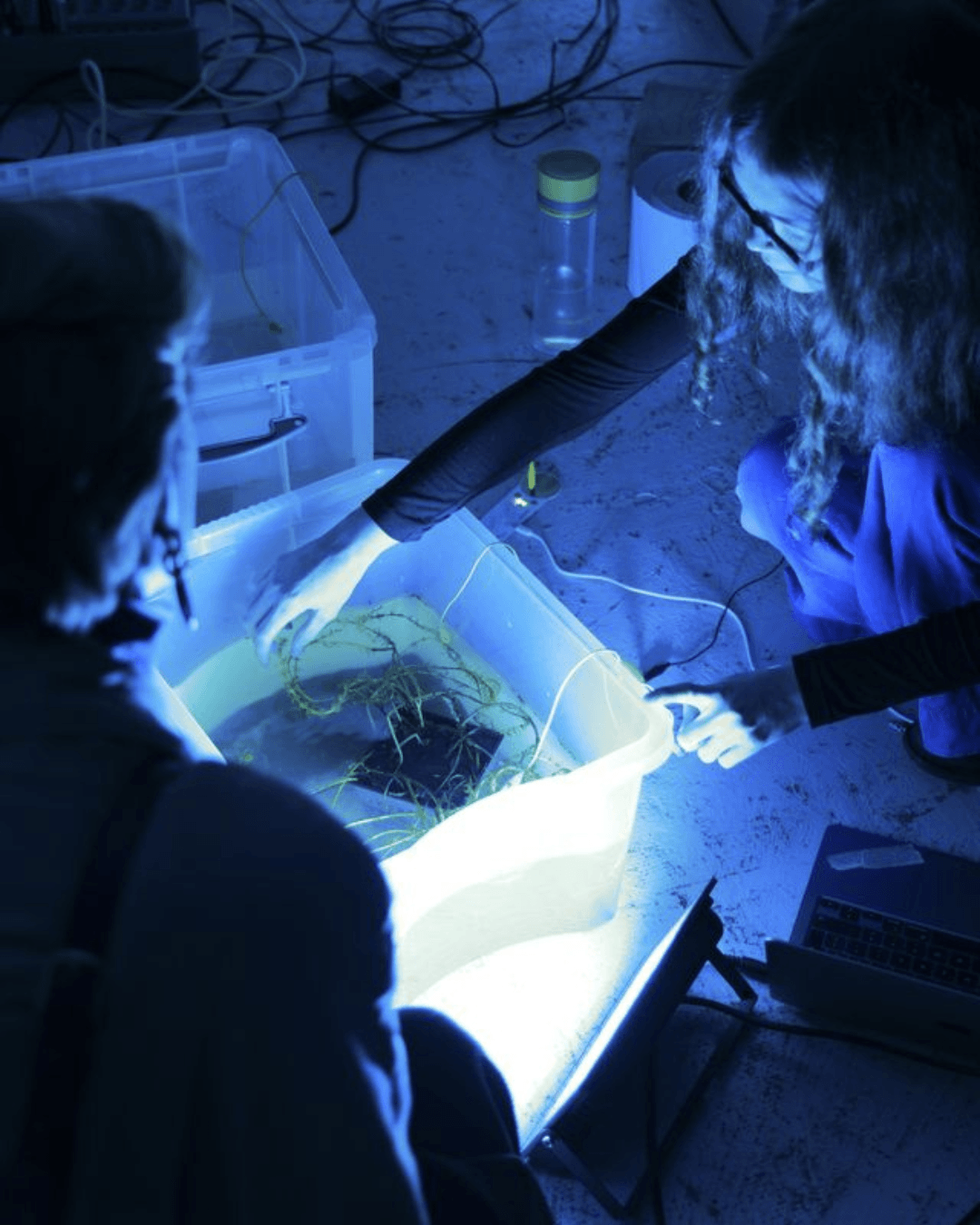 Lizzie King - Participant - Media City UK